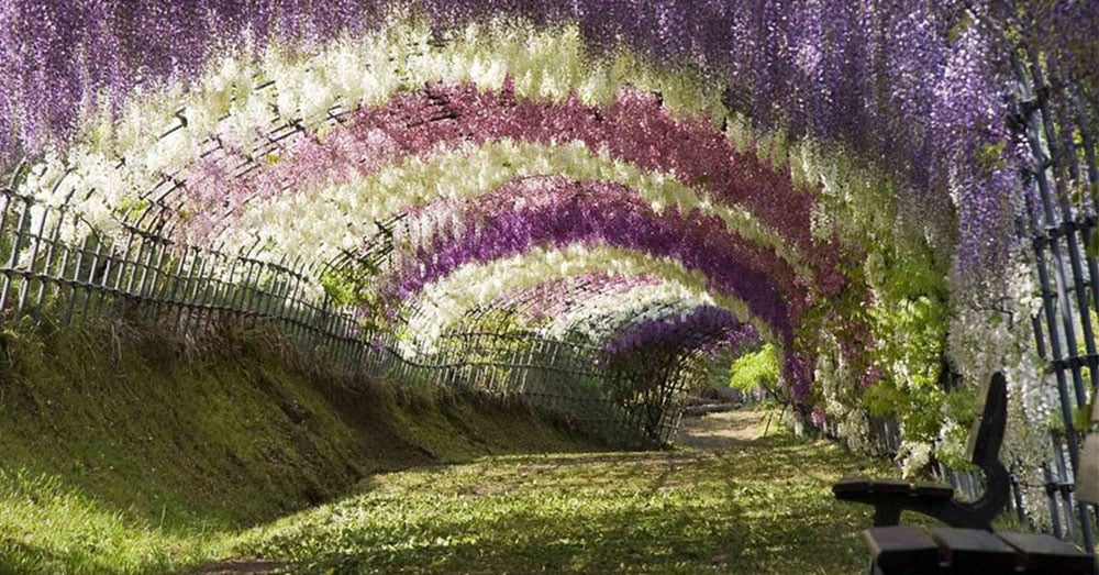 Lugares Mágicos Del Mundo Que Tienes Que Visitar Alguna Vez