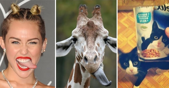 Cosas que terminan siendo muy similares unas con otras