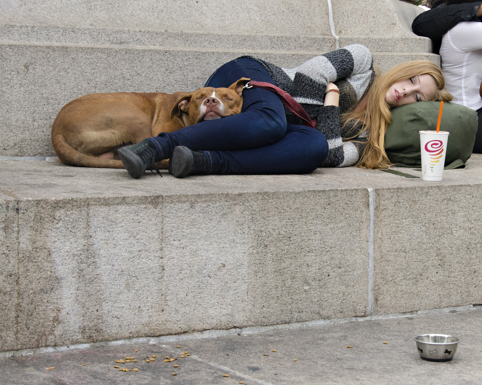 15 conductas que te harán saber si tu perro te quiere.