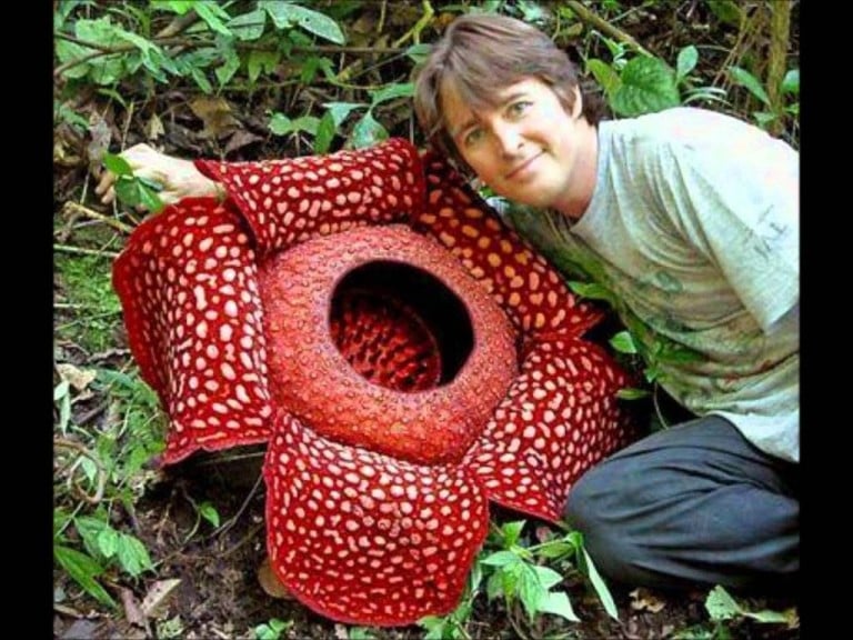 30 Fotografías más raras, curiosas y exóticas que tus ojos podrán ver ...