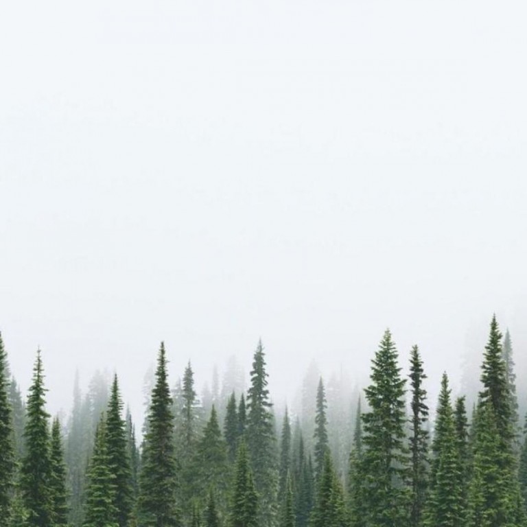 20 fotografías perfectas para minimalistas