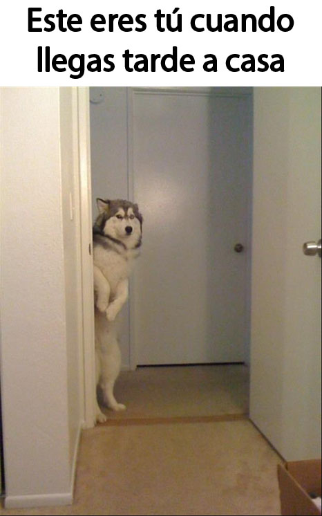 Imágenes con las literalmente todo mundo se identificará