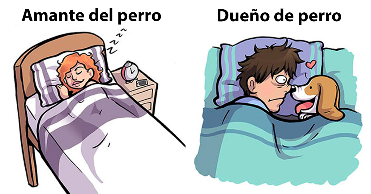 19 Memes de perros con los que no podrás ¡dejar de reír!