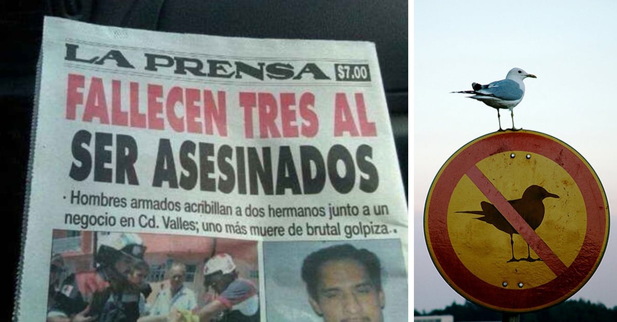 28 divertidas imágenes que muestran las ironías de la vida
