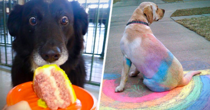 25 cosas que son muy similares a otras