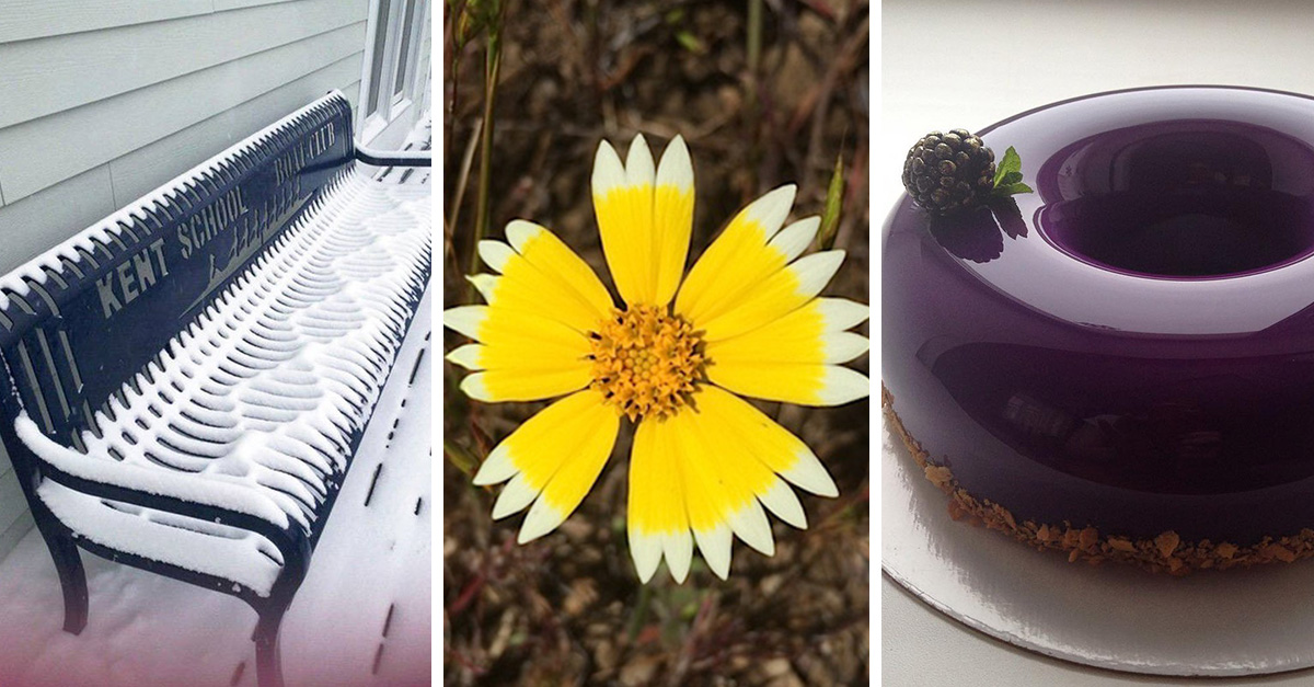 30 fotos satisfactorias que calmarán tu alma perfeccionista