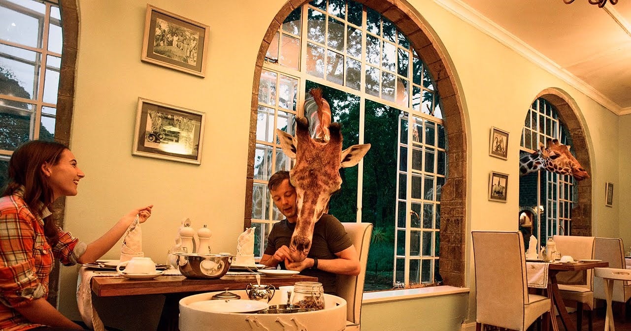 18 Restaurantes increíbles y únicos, ¡te quitarán el hambre!