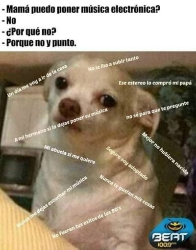 20 Veces que el perrito enojado nos leyó la mente