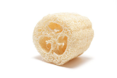 Hoy aprendí de donde vienen los estropajos y necesito compartir esa ...