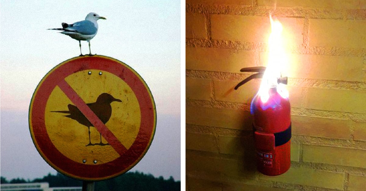 21 irónicas imágenes que te harán reir a carcajadas ¡A todos nos ha ...