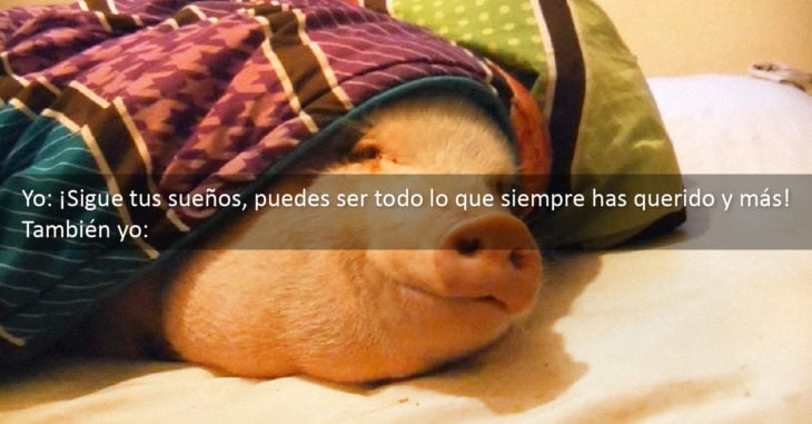 Las 25 personas más flojas que jamás hayas visto