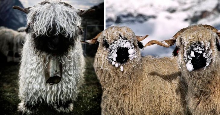 15 especies de terribles serpientes para tener pesadillas