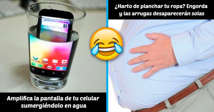 25 juguetes que harán que tu perro luzcan ridiculos jaja