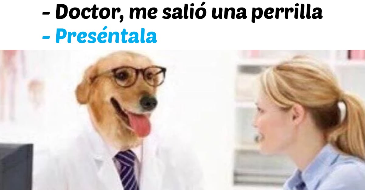 Los 20 mejores memes del doctor perro para sanar tu alma