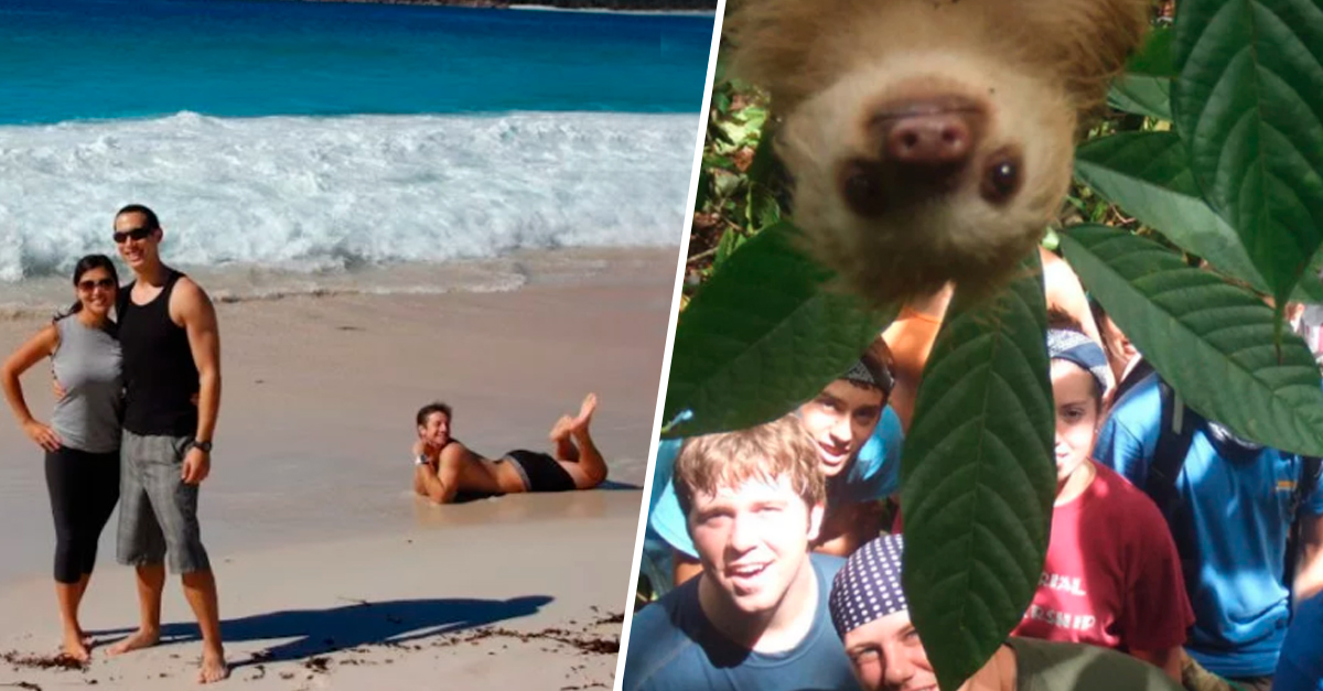 20 Perros que son demasiado bonitos para ser de este mundo