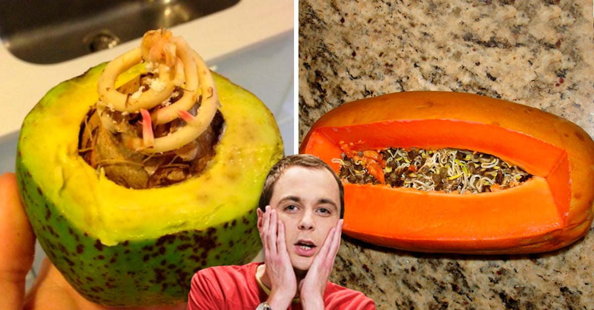 25 frutas y verduras de formas raras que parecen otra cosa