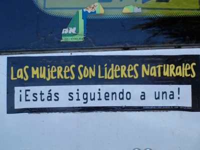 13 Divertidas calcomanías para tu coche que te harán frenar