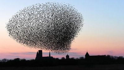 10 Extrañas y asombrosas cosas que pasan en la naturaleza