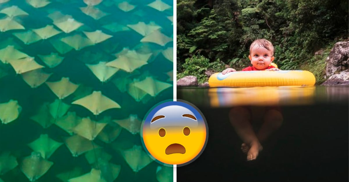 Talasofobia: horror a lo que se esconde en el océano.