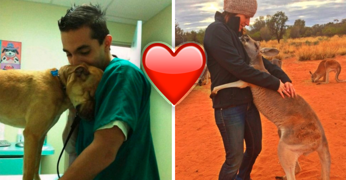 13 animales agradecidos que te sorprenderán agradablemente