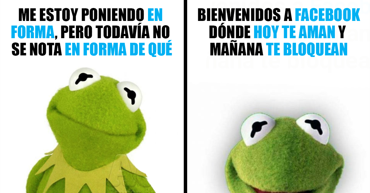 13 Sabios consejos que tiene la Rana René para orientarte