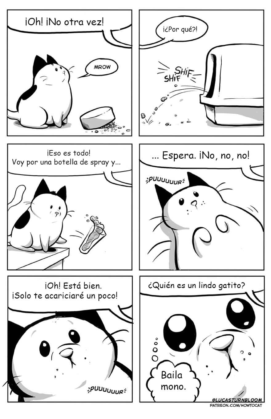 11 Divertidos Cómics Sobre La Vida De Un Gatito Rescatado