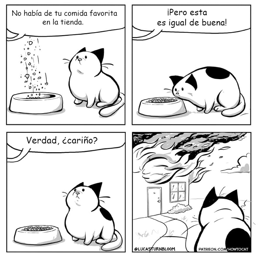 11 Divertidos Cómics Sobre La Vida De Un Gatito Rescatado