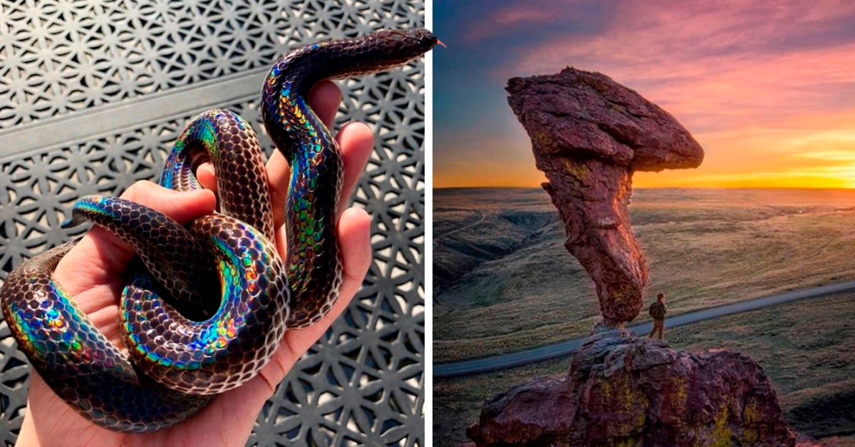 13 Fotos que muestran que el mundo siempre nos sorprenderá