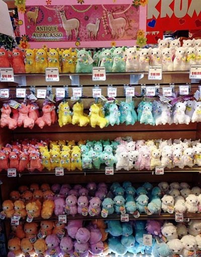 Artículos cute que vas querer tener en tus manos ahora mismo