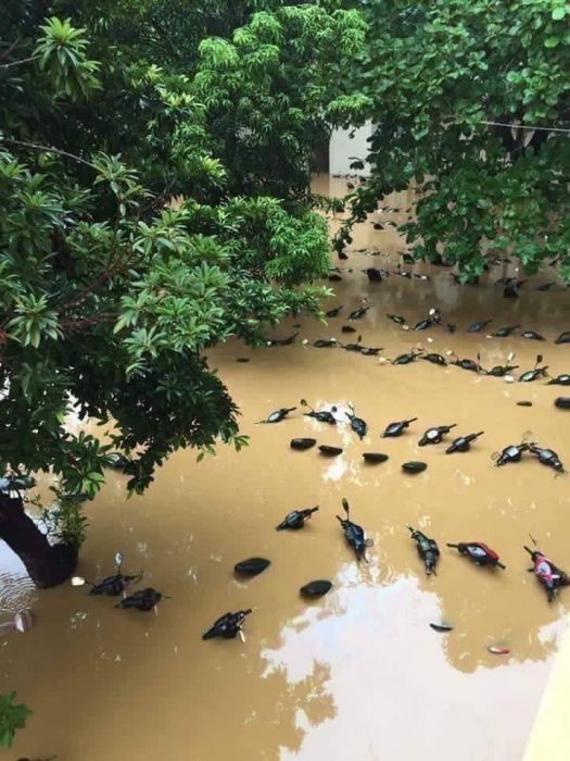 Las 15 fotografías más random que encontrarás en Internet