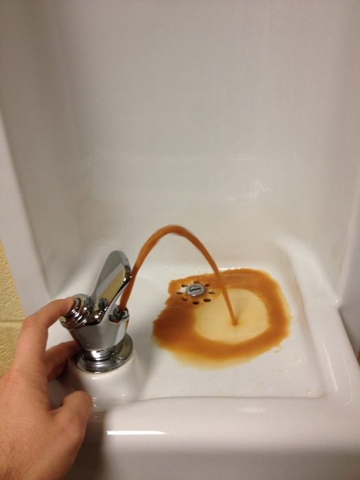 Las 15 fotografías más random que encontrarás en Internet