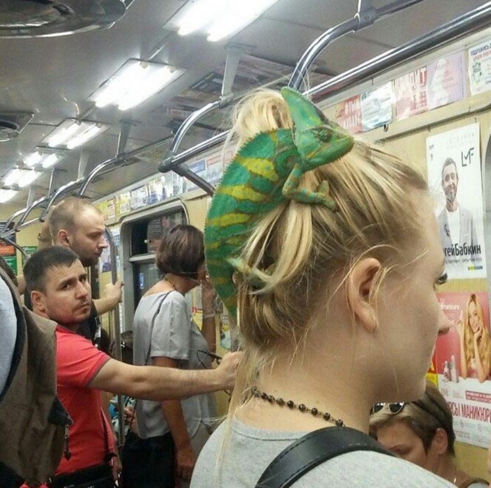 Las 15 fotografías más random que encontrarás en Internet