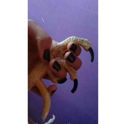 Chica muestra cómo creció su pollito de colores