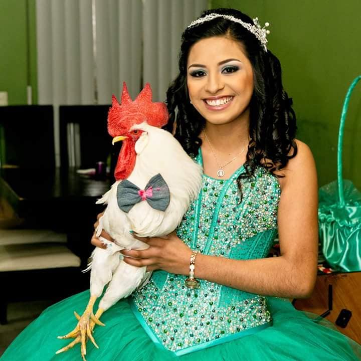 Chica muestra cómo creció su pollito de colores