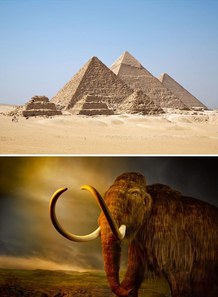 15 Hechos históricos que no creerás que sucedieron a la vez