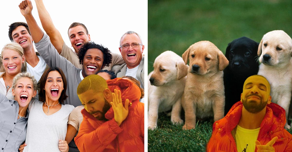 Confirman que amamos más los perros que a otras personas