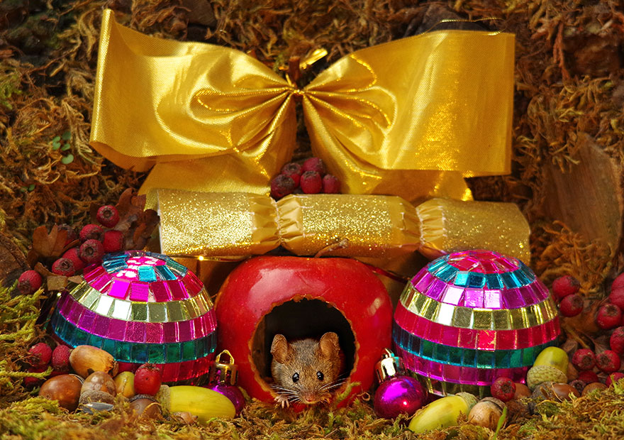 Fotógrafo construye una villa para ratones en su jardín