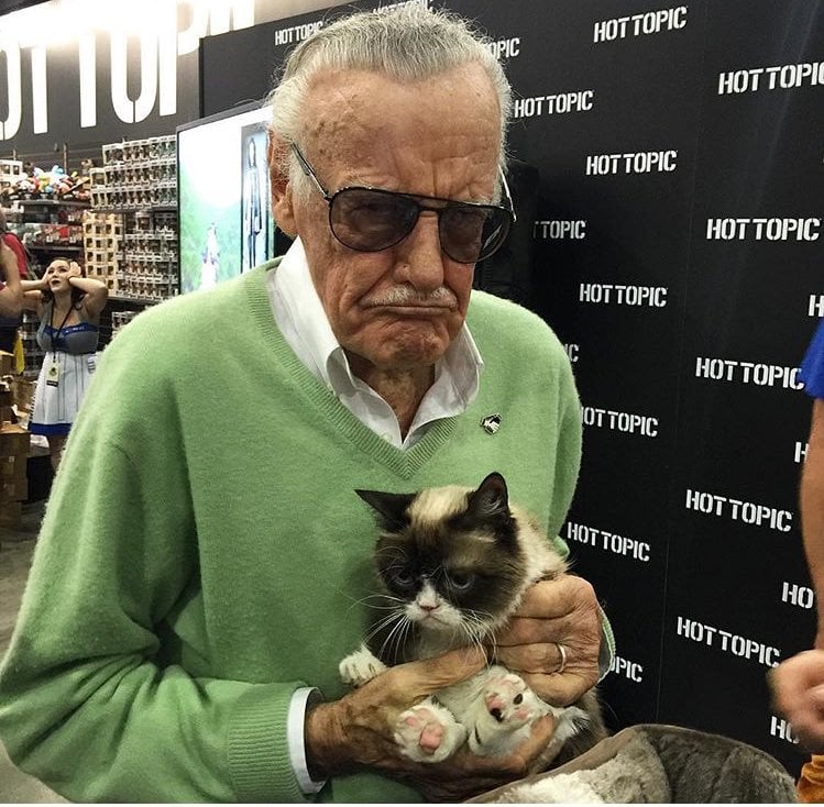 Muere “Grumpy cat” la felina más carismática y malhumorada de Internet