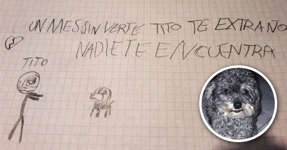 Niño autista ofrece bicicleta a quien encuentre a su perrito